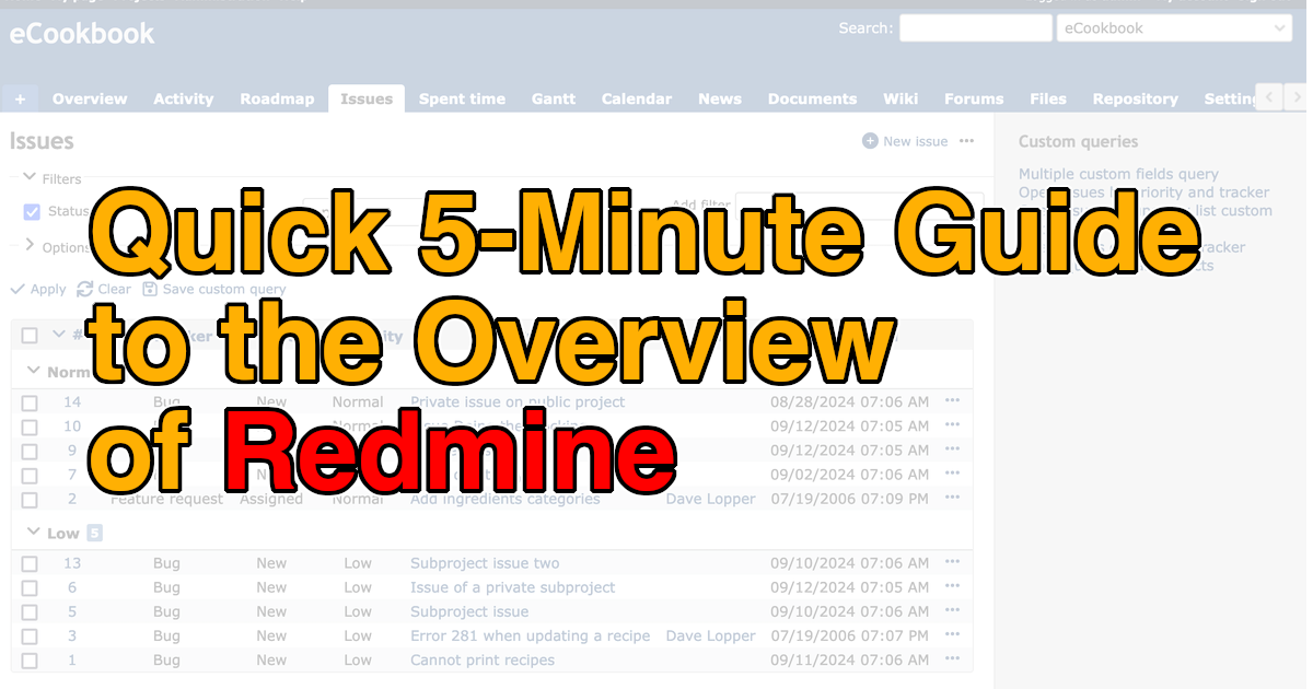 Quick 5-Minute Guide to the Overview of Redmine | Redmine Advisor